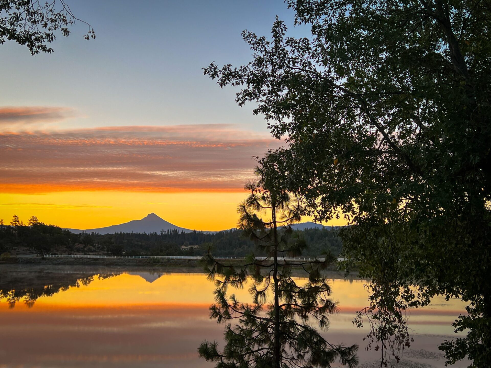 Directions - Coyote Místico